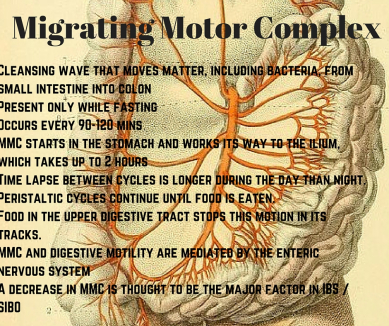 No estás hambriento: Estás migrando – Adoninas